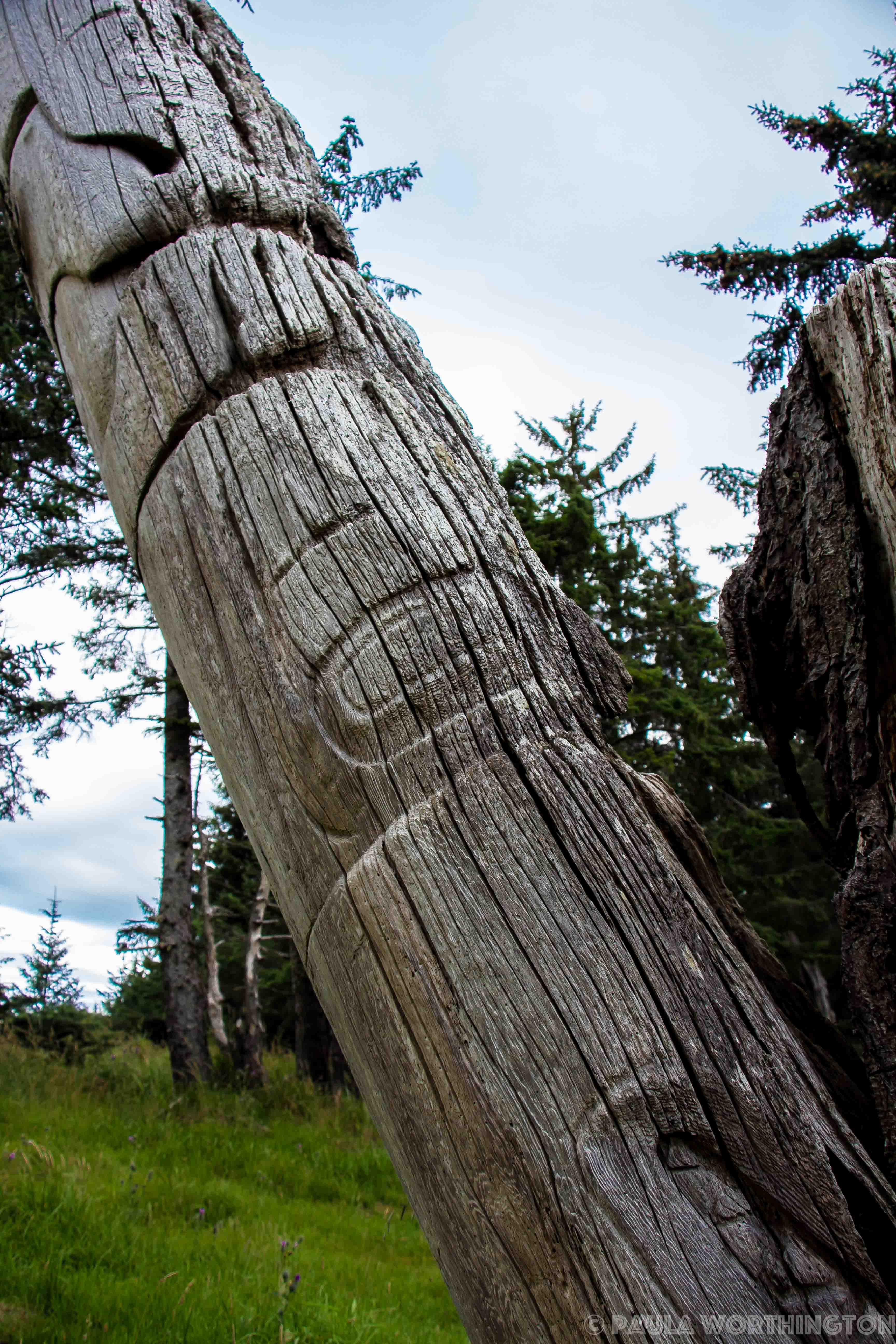 Haida Gwaii – The Galapagos of Canada? – wanders wild